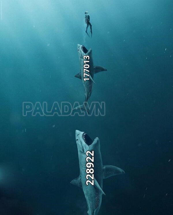 Erogros/228922 là gì? Nguồn gốc và sự lan truyền Erogros/228922