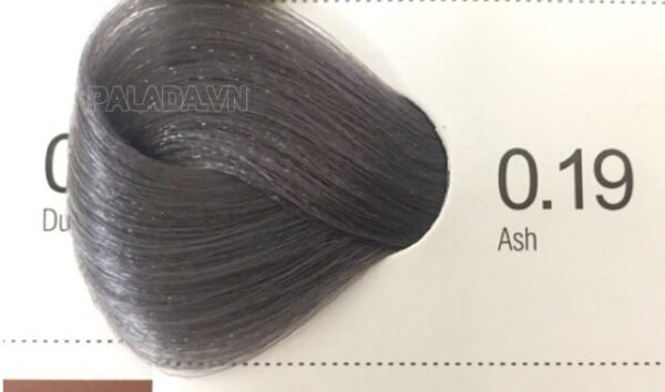 0/19 là màu gì? Top 10+ màu tóc "tôn vinh" làn da ngăm - Thiết bị vệ ...