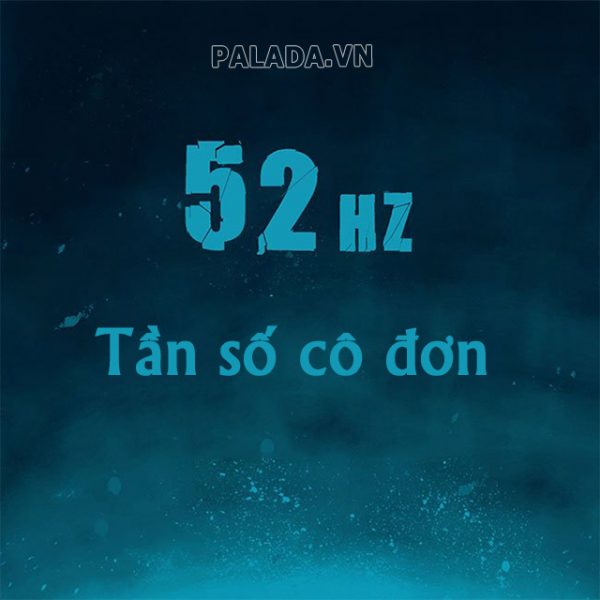 52Hz là gì? Nguồn gốc, ý nghĩa của tần số 52Hz